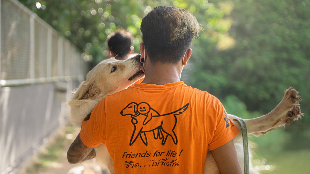 Thank you for standing with us | Soi Dog Foundation